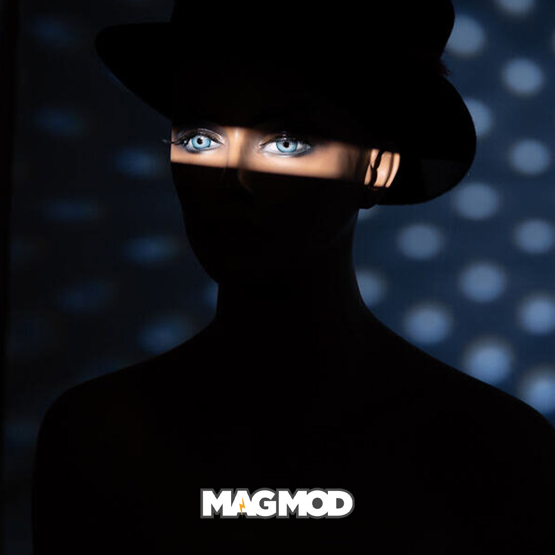 Discover the Innovative World of MagMod Photography Accessories ...